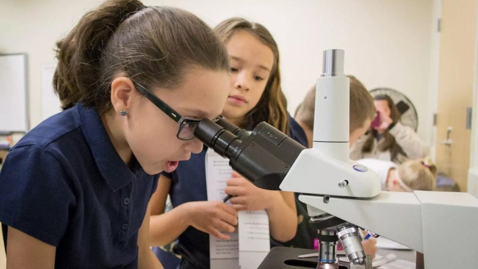 Best Strategies for Teaching STEM Subjects